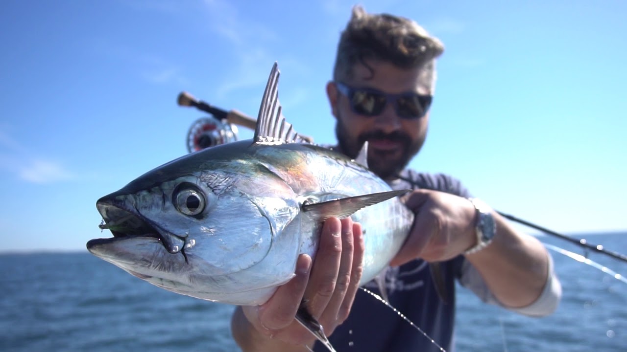 Bluebird Skies And Blitzing Fish - YouTube