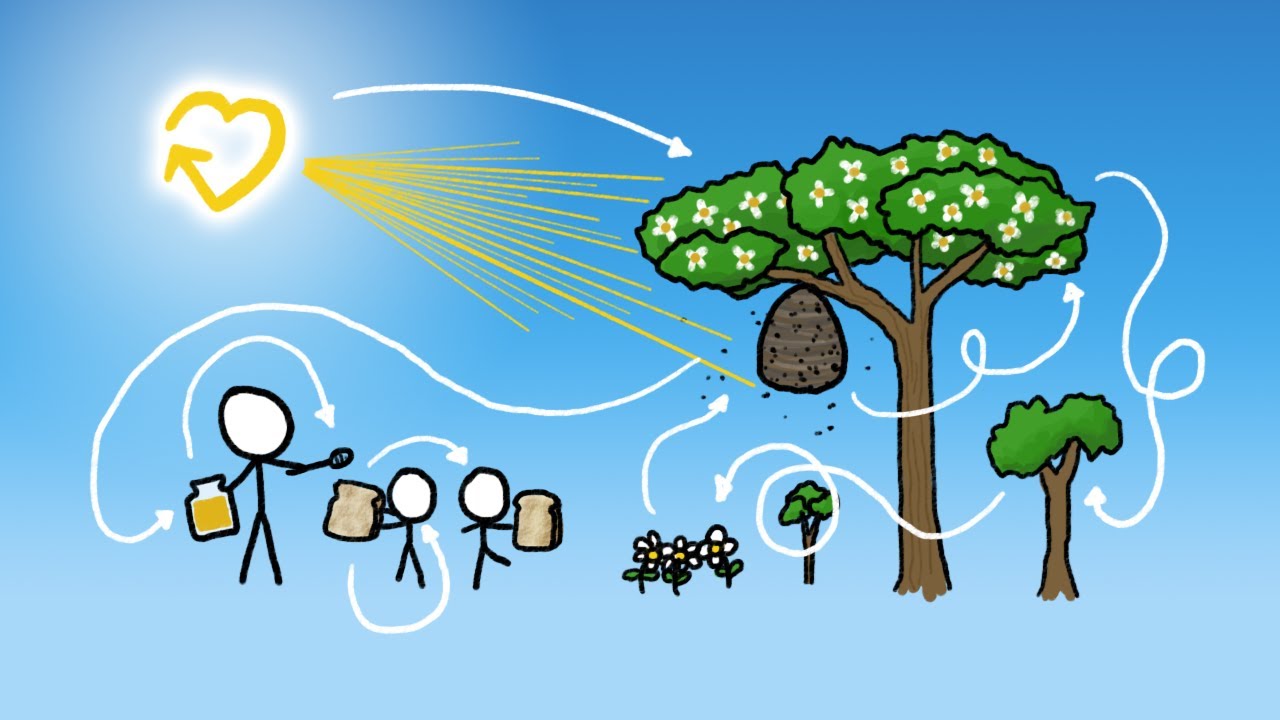 How Our Honey is Made (& Subbable announcement) - YouTube