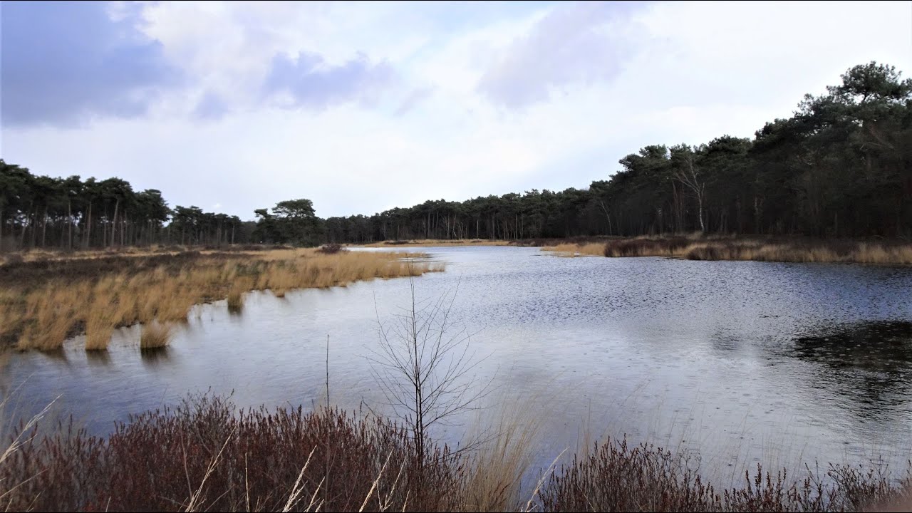 1569 Dommelen (Brabant) - YouTube