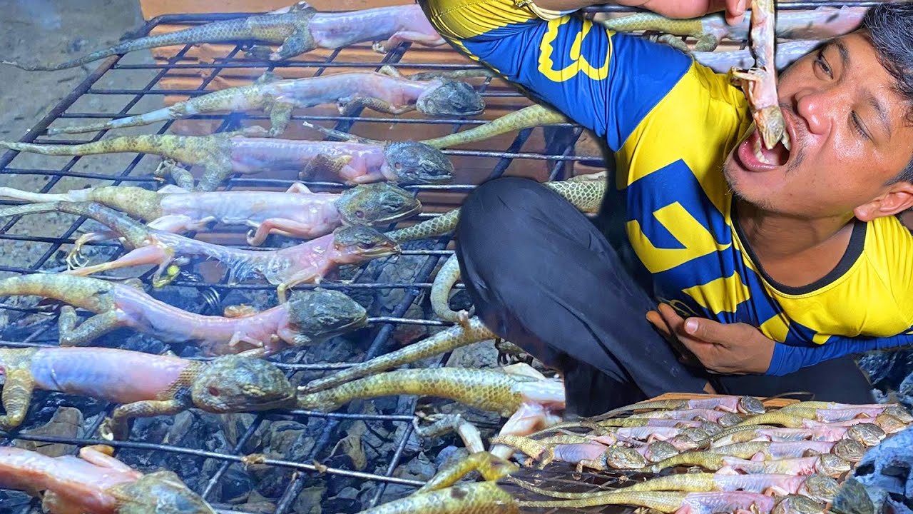 Wow! Find Lizard 🦎 in forest to cooking for dinner - YouTube