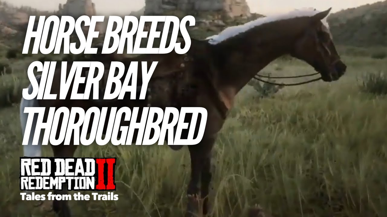 Red Dead Redemption 2: Horse Breeds - Silver Bay Thoroughbred - YouTube