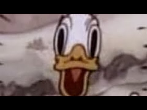 Wide Eye Duck/Soviet Union Duck Meme Compilation - YouTube