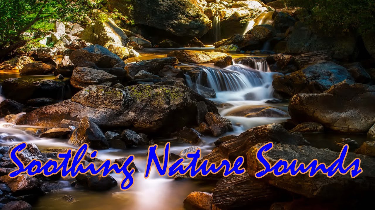 Soothing Stream Sounds l Relaxing Nature Sound For Relaxation, Sleep ...