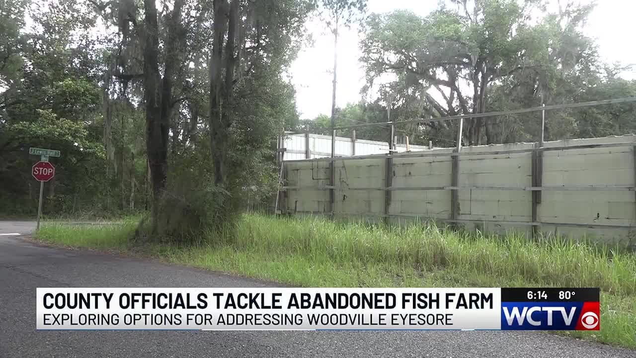 Failed fish farm sits idle near Leon County park, local leaders look ...