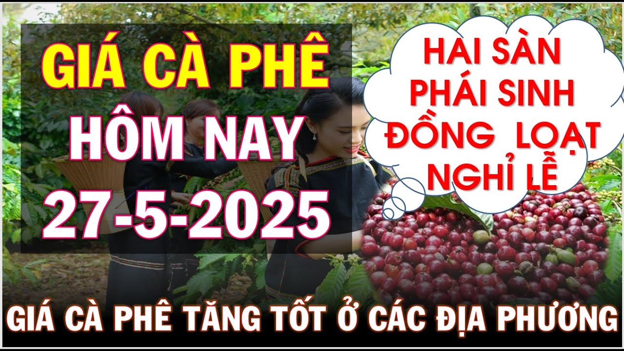 Giá cà phê hôm nay ngày 27/5/2025|Giá cà phê trong nước tăng trong khi ...