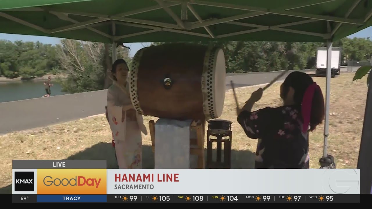 "Hanami Line" cherry blossom park coming to Sacramento! - YouTube