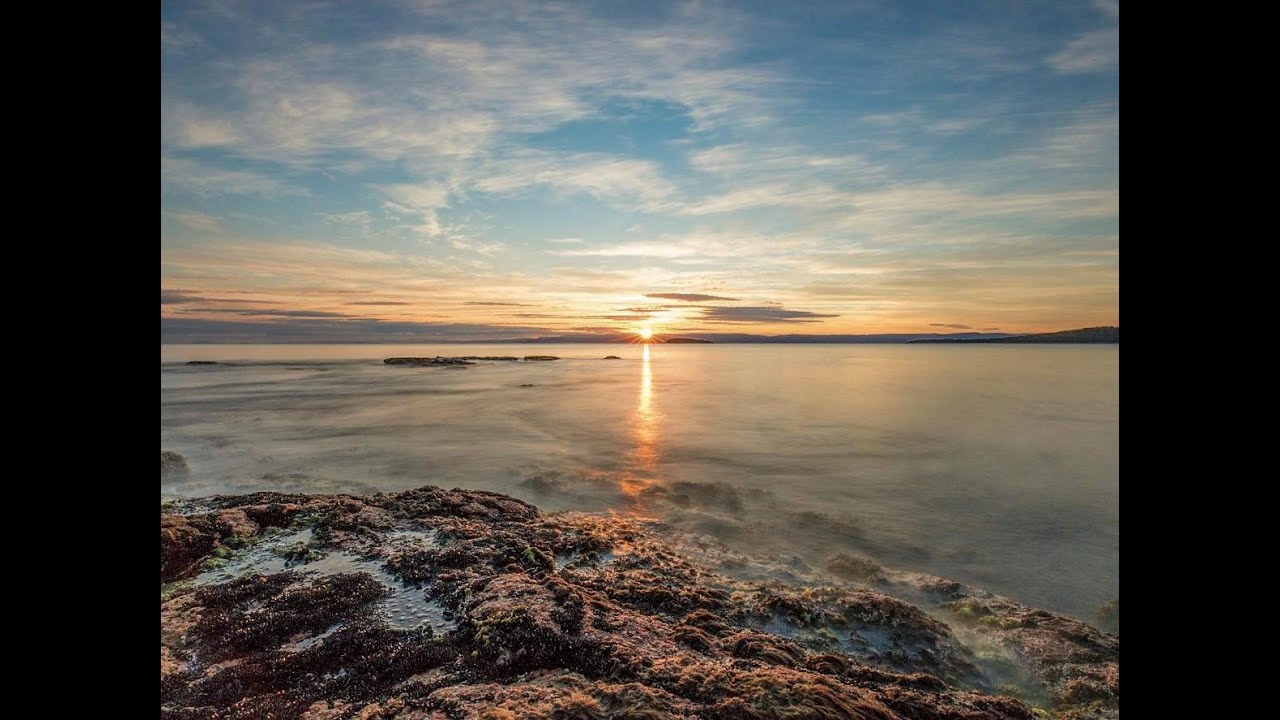 Relaxing & Meditation videos | calm videos for deep sleep and stress ...