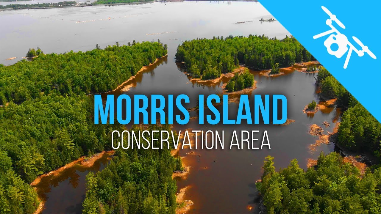 Relaxing Drone Flight around Morris Island Conservation Area - (4K UHD ...