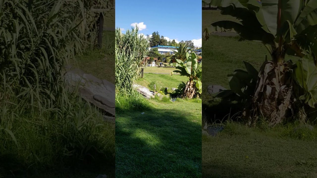 Parque la moya - YouTube