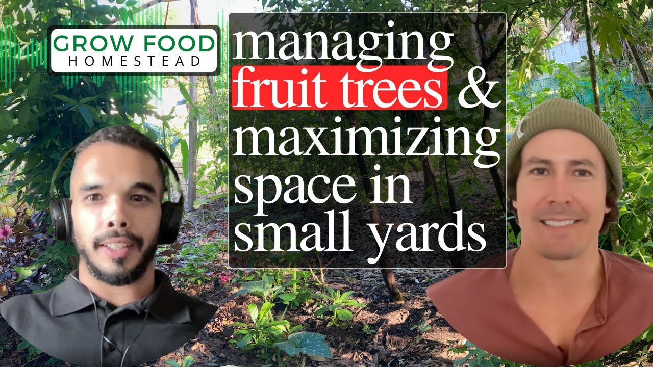 Urban Farmsteading with Kyle Hagerty: Transforming Suburban Yards into ...