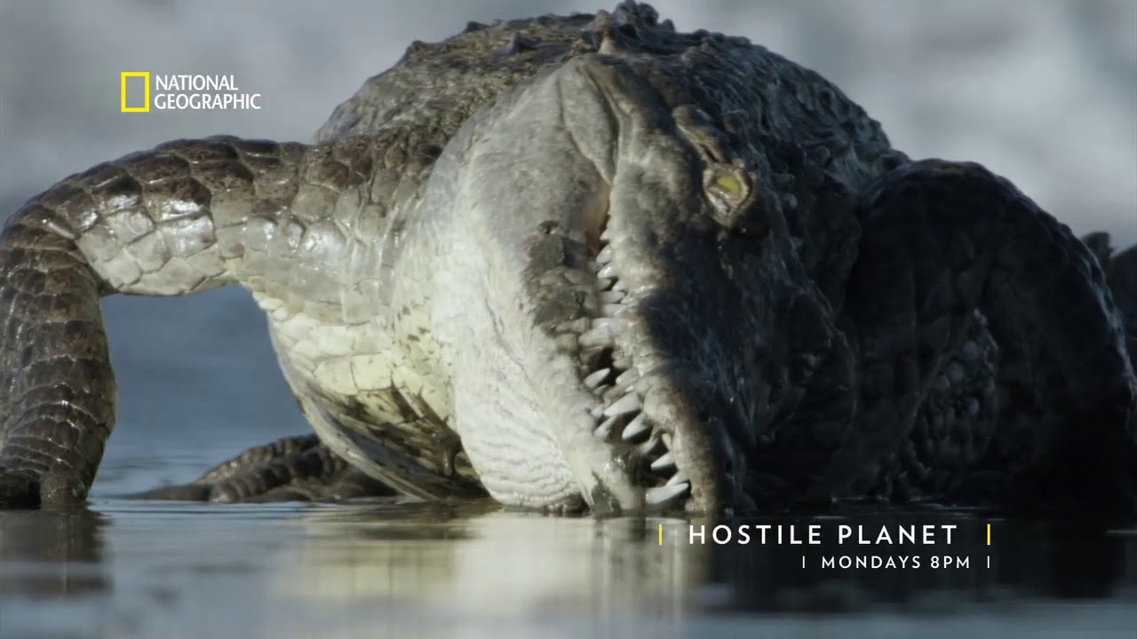 Hostile Planet | Mondays at 8 PM - YouTube
