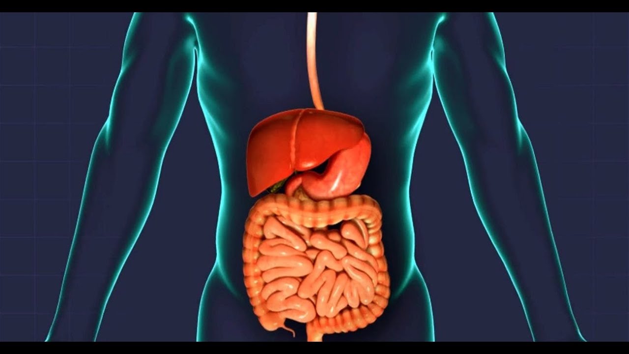 ¿QUE ES LA COLONTERAPIA? - YouTube