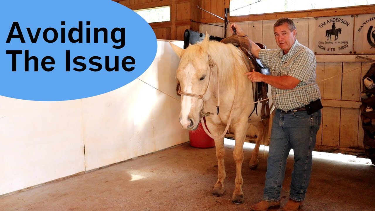 Are you avoiding the issue? - YouTube