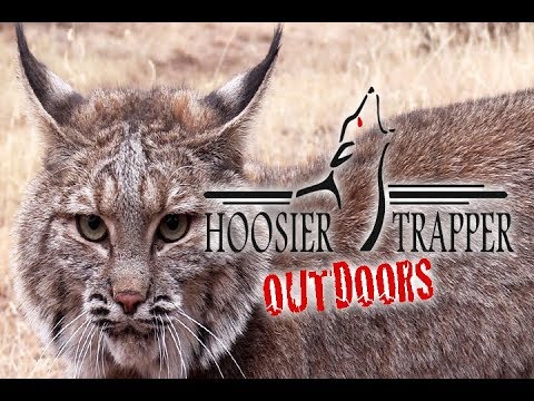 Hoosier Trapper Outdoors (Season 7) - Episode 7 - YouTube