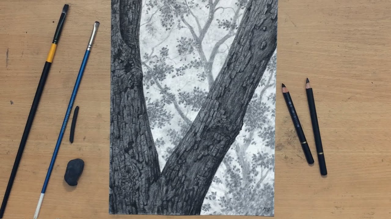 Charcoal Drawing of a Rough Tree Bark - YouTube