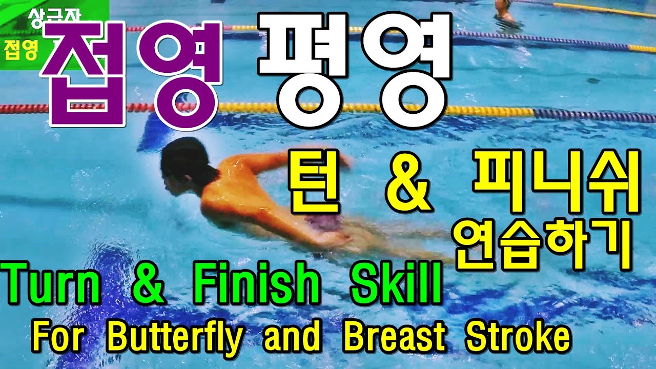 평영 접영 턴 & 피니쉬동작 배우기 [ 뉴욕 수영코치 New York Swim Coach ] - YouTube