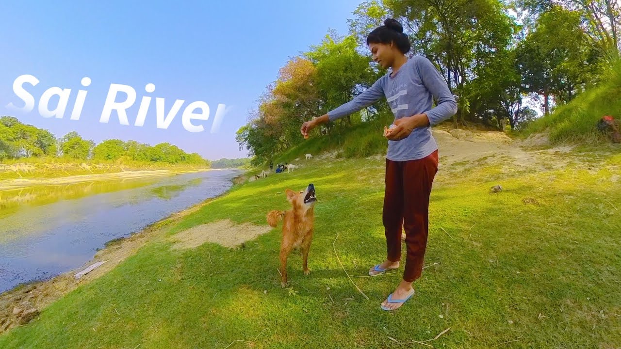 A short tour with Chindu shot 4 🐕#creativelifesdvlogs #riverbanks #Fun ...