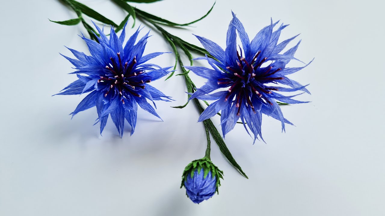 How To Make Cornflower From Crepe Paper / Paper Flower / Góc nhỏ ...