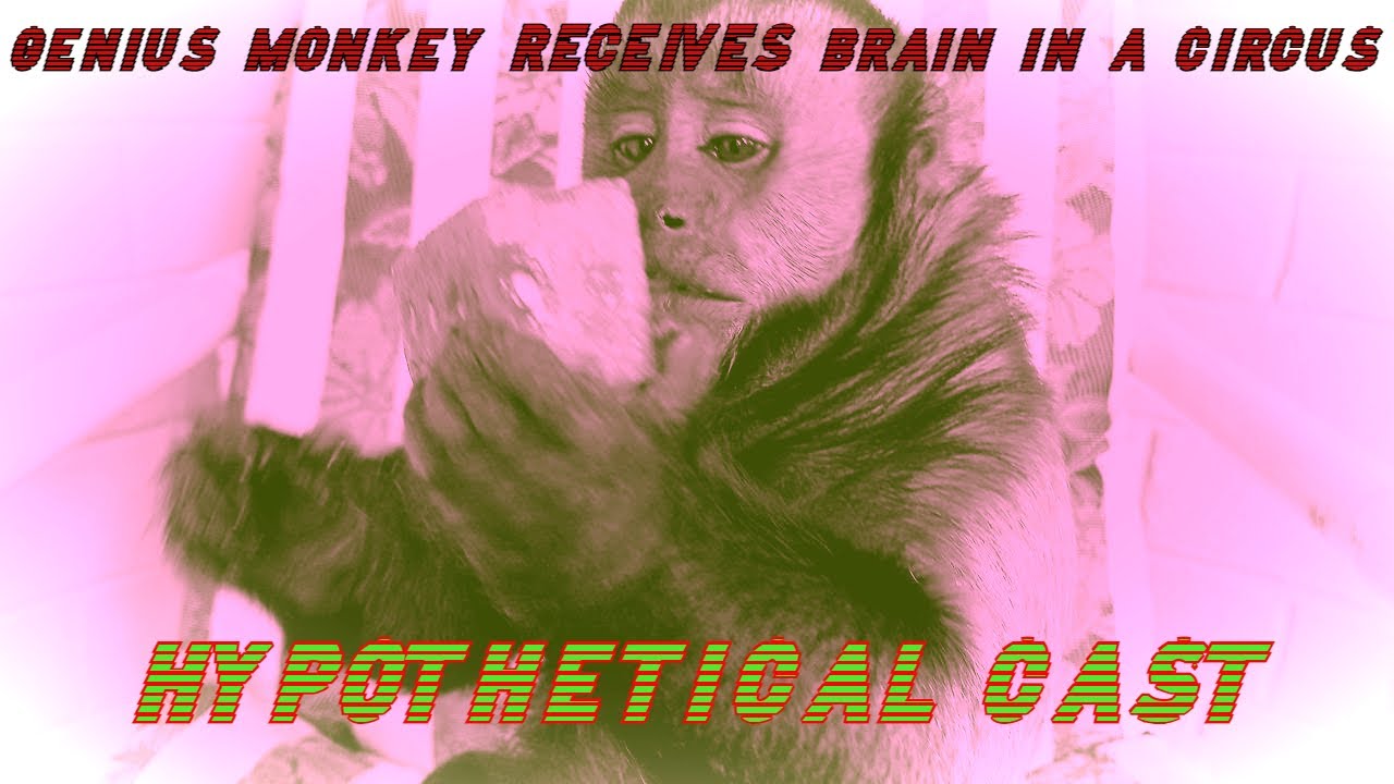 GENIUS MONKEY RECIEVES BRAIN IN A CIRCUS-HYPOTHETICAL CAST EPISODE 3 ...