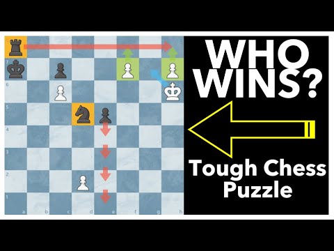 WHO WINS THIS? ♚ Instructive Chess Study ♗ Christopher Yoo, 2019 ...