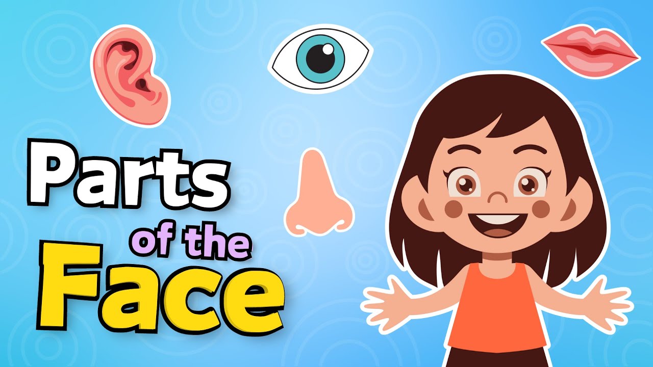 Parts of the FACE: KIDS educational videos kindergarten, 1st grade ...
