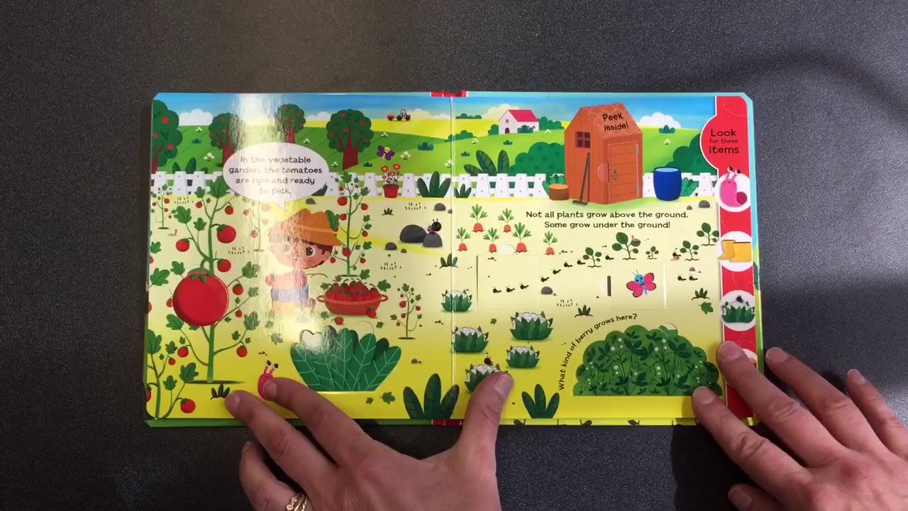 Little Explorers: Exploring the Farm (A Lift-the-flap Book) CrackBoom ...