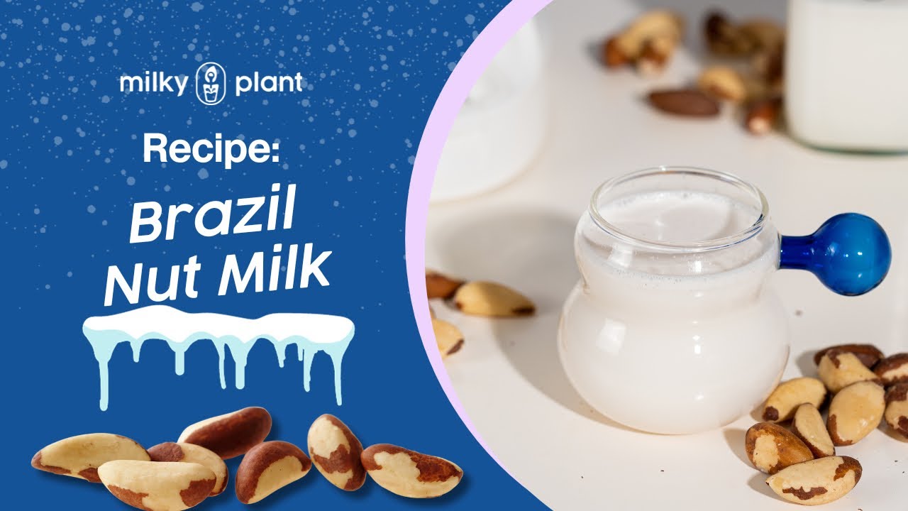 How to Make Creamy Brazil Nut Milk at Home | Nutrient-Packed Dairy-Free ...