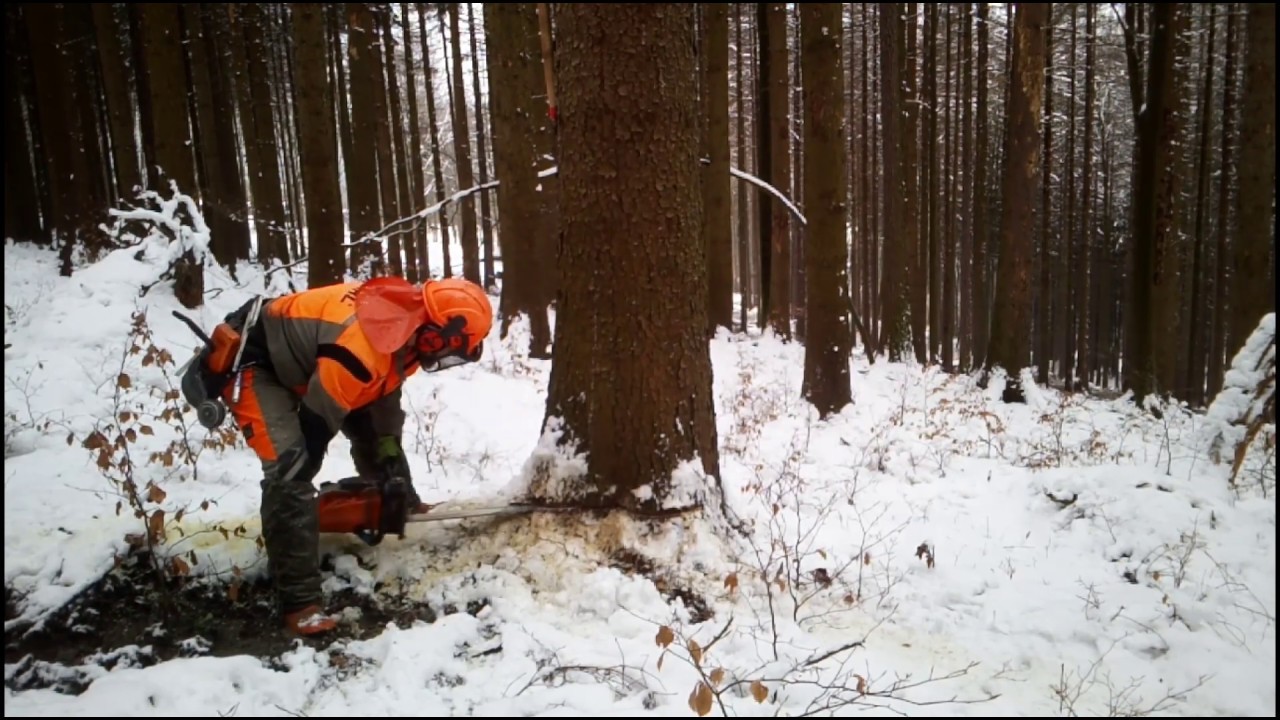 Work in forest, 312-2020, Im Wald arbeiten, Práce v lese 🇨🇿 - YouTube