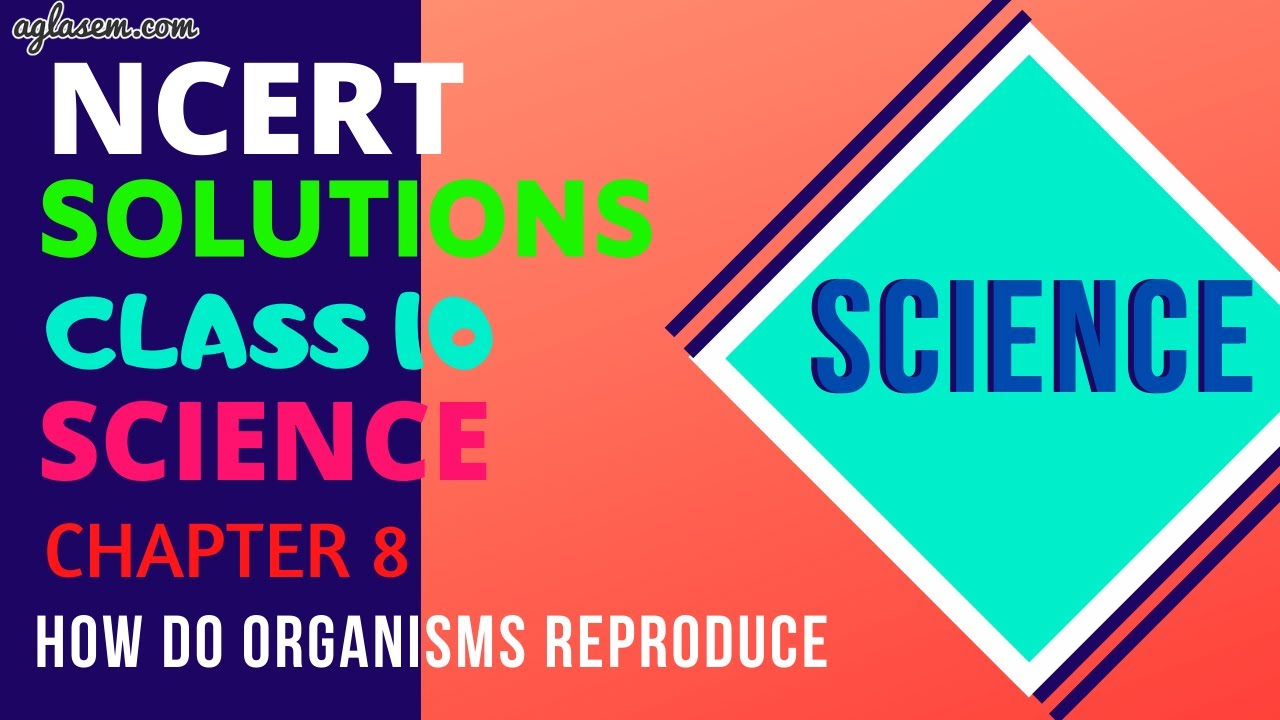 NCERT Solutions Class 10 Science Chapter 8 How Do Organisms Reproduce ...