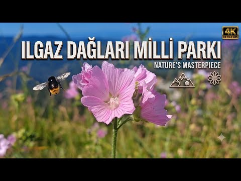 Ilgaz Dağı Milli Parkı | Kastamonu