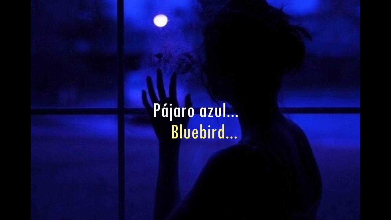 Bluebird - Beach House // sub español - lyrics - YouTube