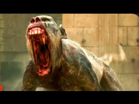 Gladiator 2 (2024)-Rabid monkey's attack scene|Movie clips - YouTube