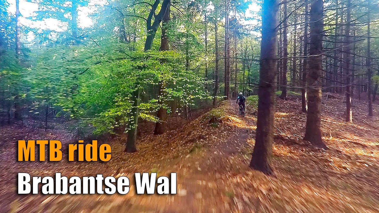 MTB: Brabantse Wal - YouTube