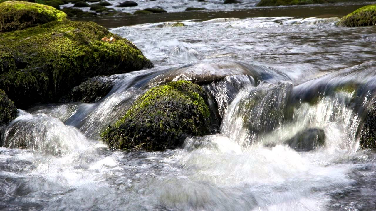 Gentle Stream Sounds | Flowing Water | Relax, Sleep, Study, Meditation ...