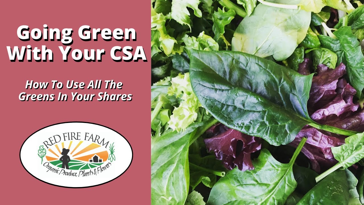 Going Green With Your CSA: How To Use All The Greens In Your Shares ...