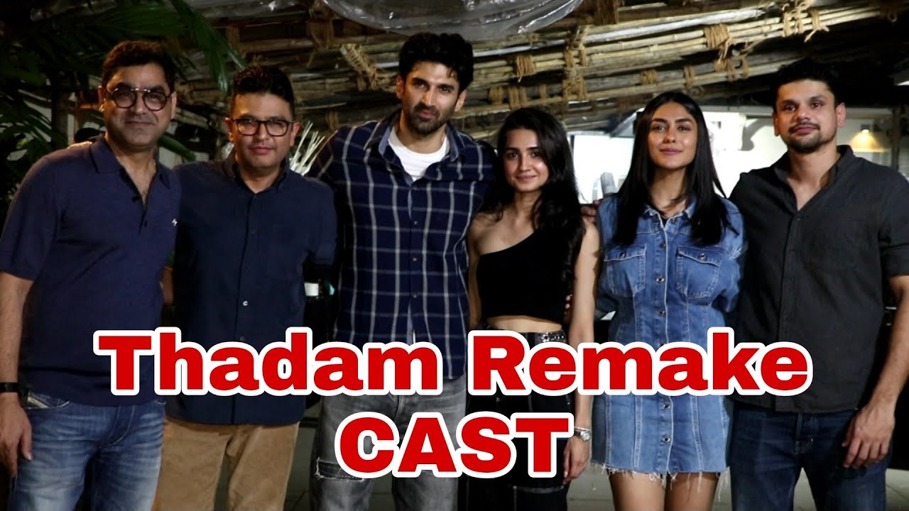 Thadam Remake CAST Aditya Roy Kapur, Mrunal Thakur, Vardhan Ketkar ...