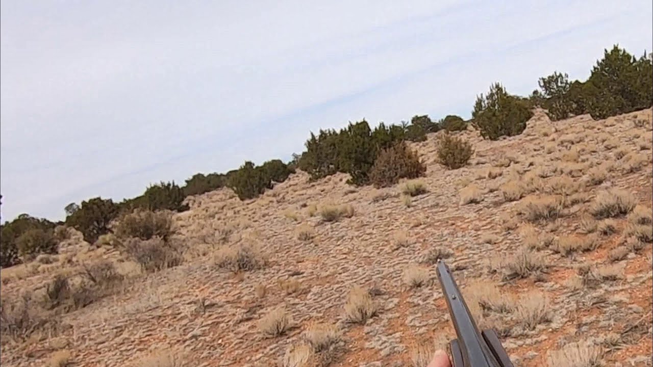 Rabbit hunt by Grand canyon - YouTube