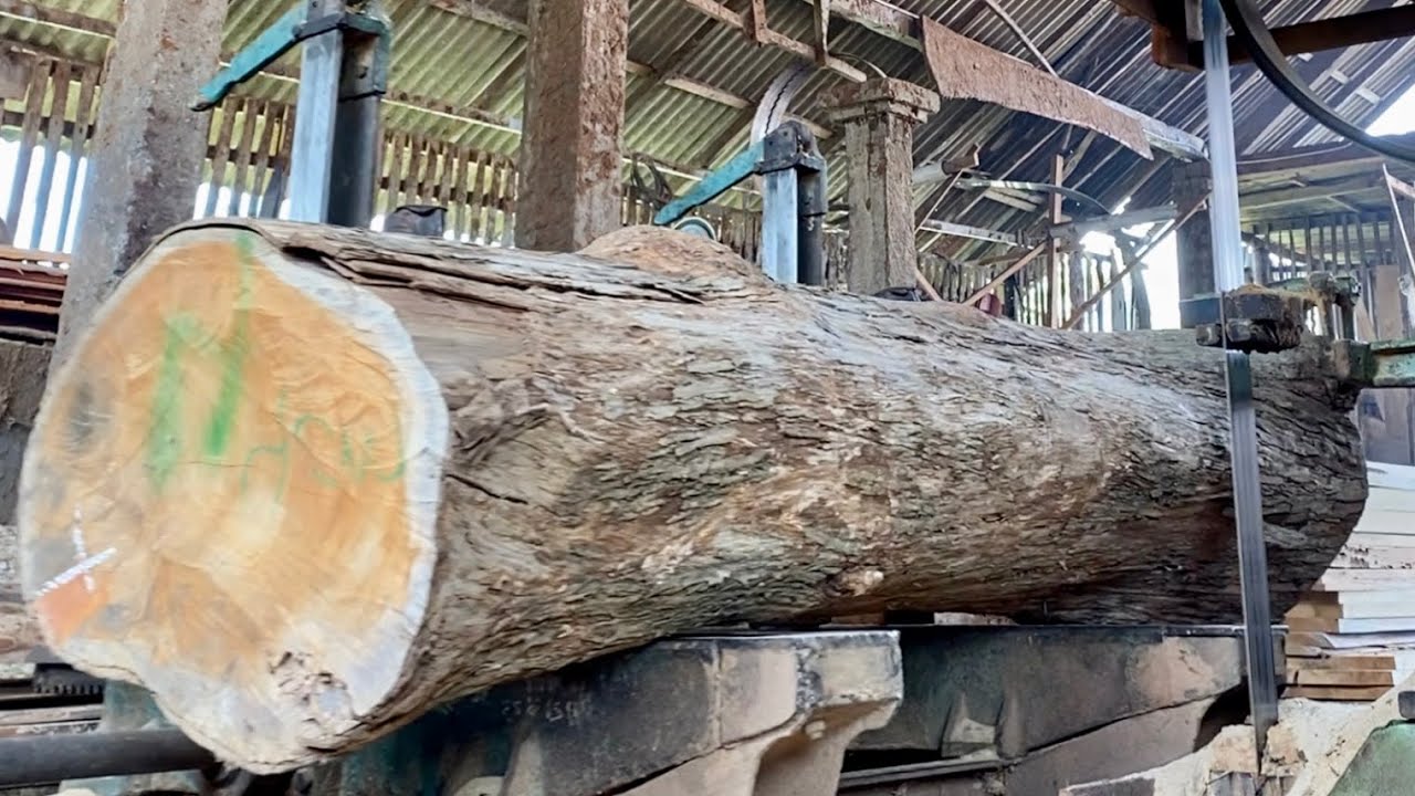 Extraordinary !! Teak wood this good is cut using a bandsaw machine ...