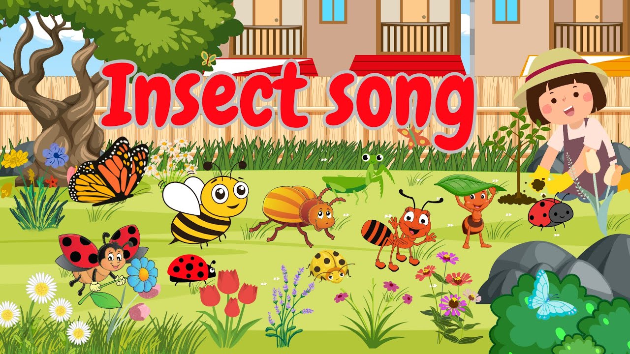 Insects song#1 - YouTube
