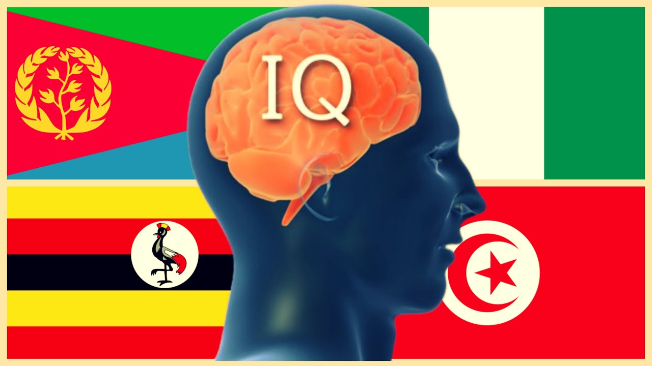 Top 10 African Countries With The Most Intelligent People- IQ Test 2023 ...