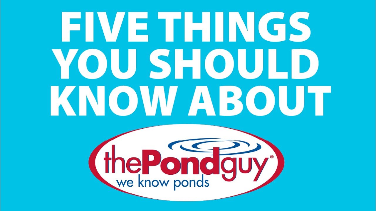 The Pond Guy Jobs – We’re Hiring Join Our Team - YouTube