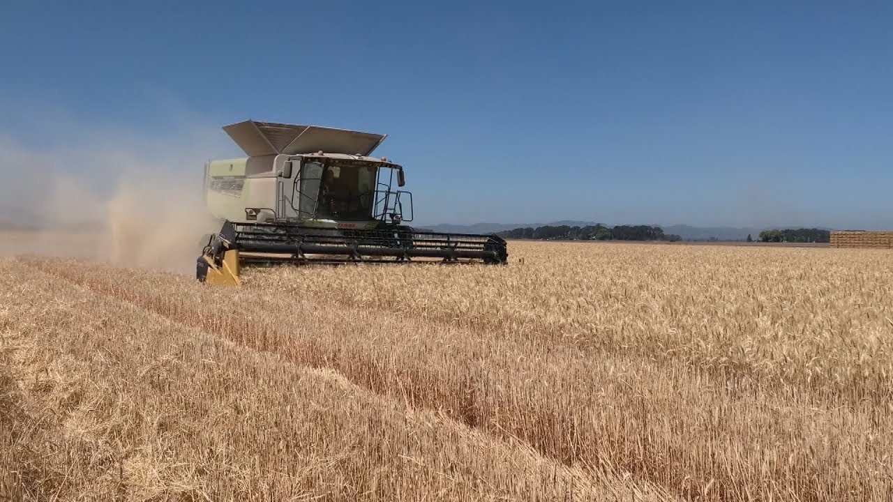 Oregon Producers Start Crop Year In Drought - YouTube