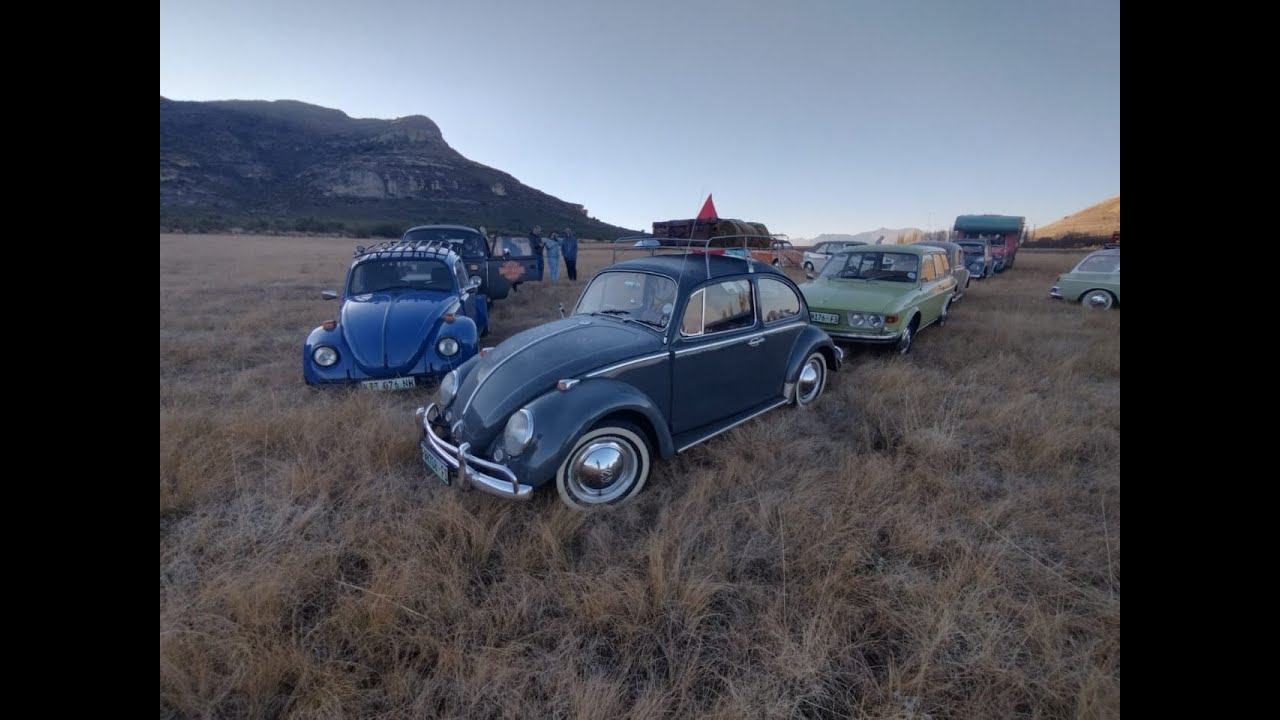 BeetleManiacs Club SA "Bugs on a Major" Clarens 2023 - YouTube