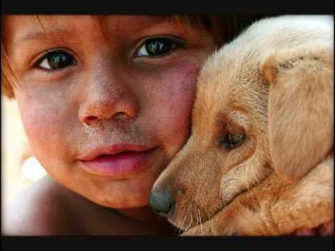 The Show - Lenka w/lyrics - YouTube Music