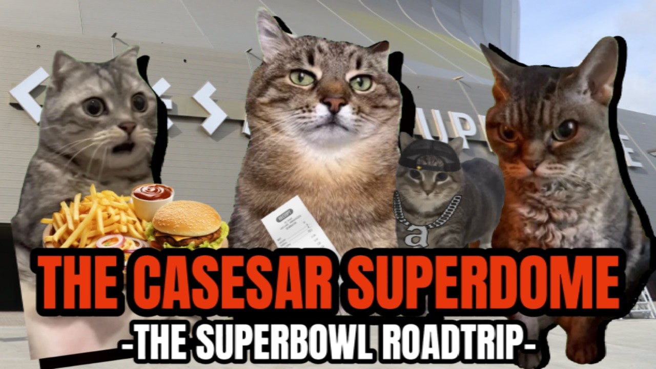 Cat MEMES: THE CAESAR SUPERDOME - YouTube