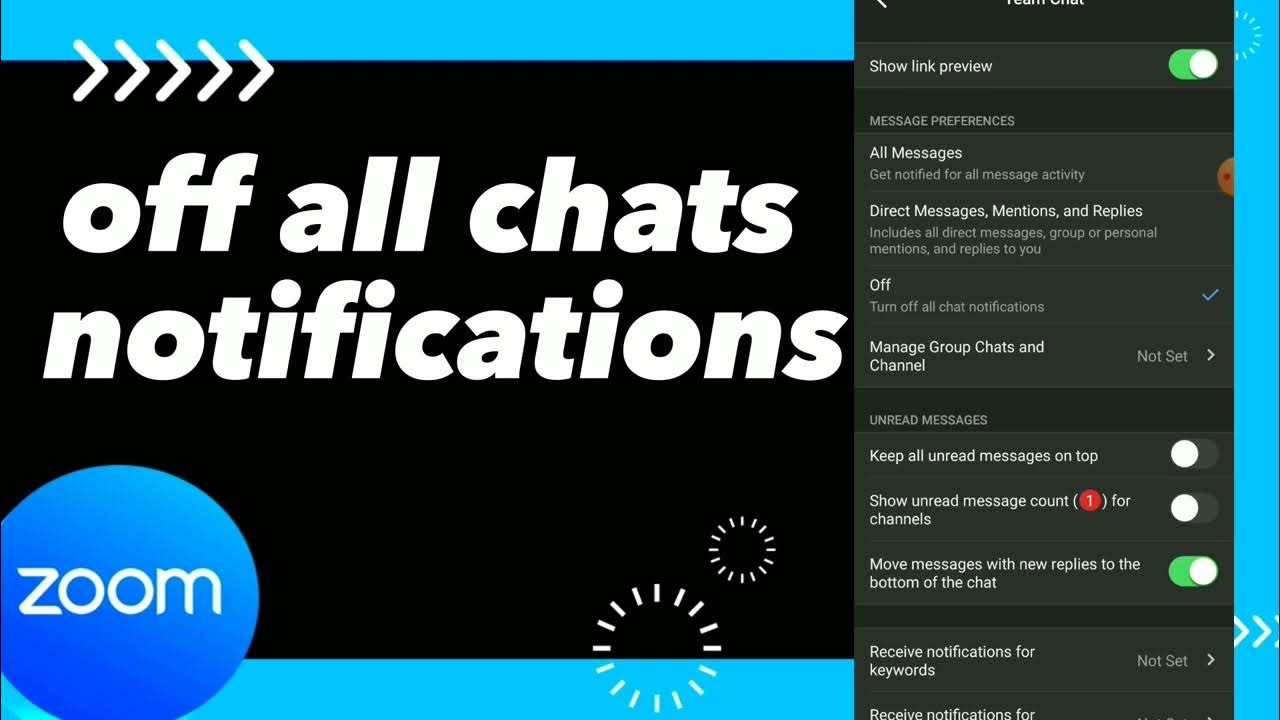 How To Turn Off All Chats Notifications On Zoom - YouTube