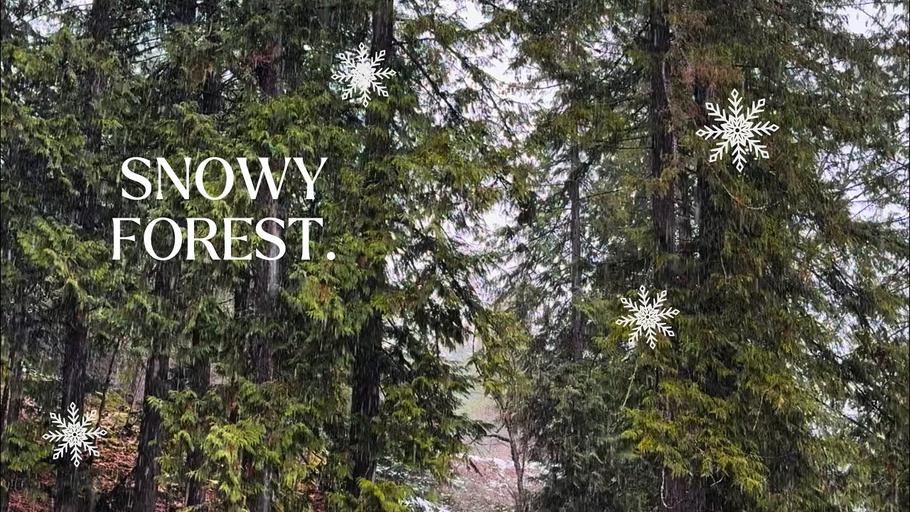 Snow Falling Music Background - YouTube
