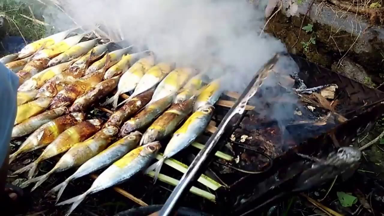 PROSES PEMBUATAN IKAN BENTONG ASAP Makanan Khas Rembang - YouTube