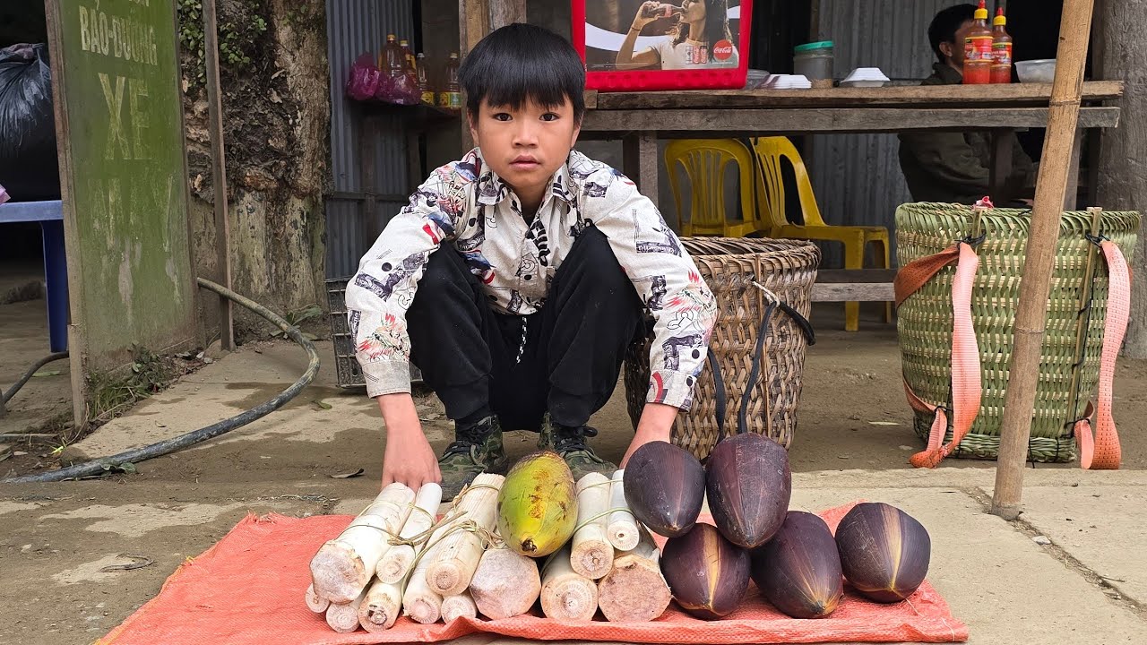 Poor Boy - Harvesting Banana Cores and Flowers to Sell at Market ...