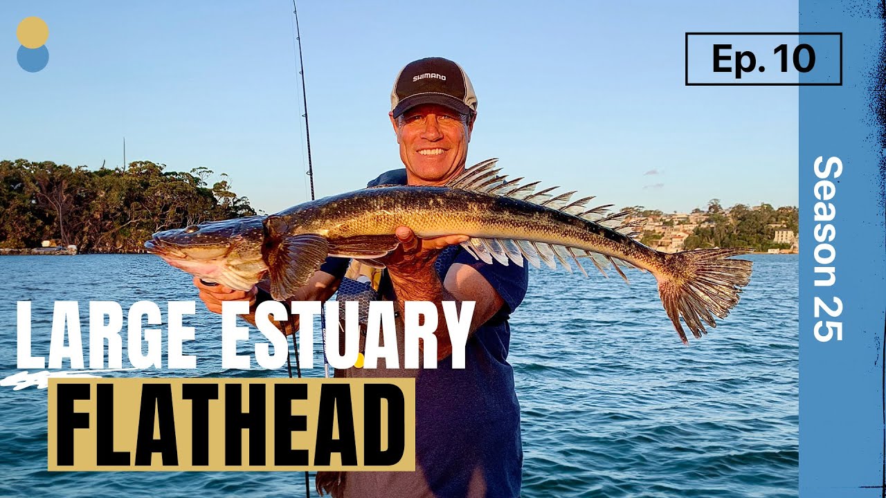 Large Flathead. ET's Secrets to Catching Lizzards! - YouTube